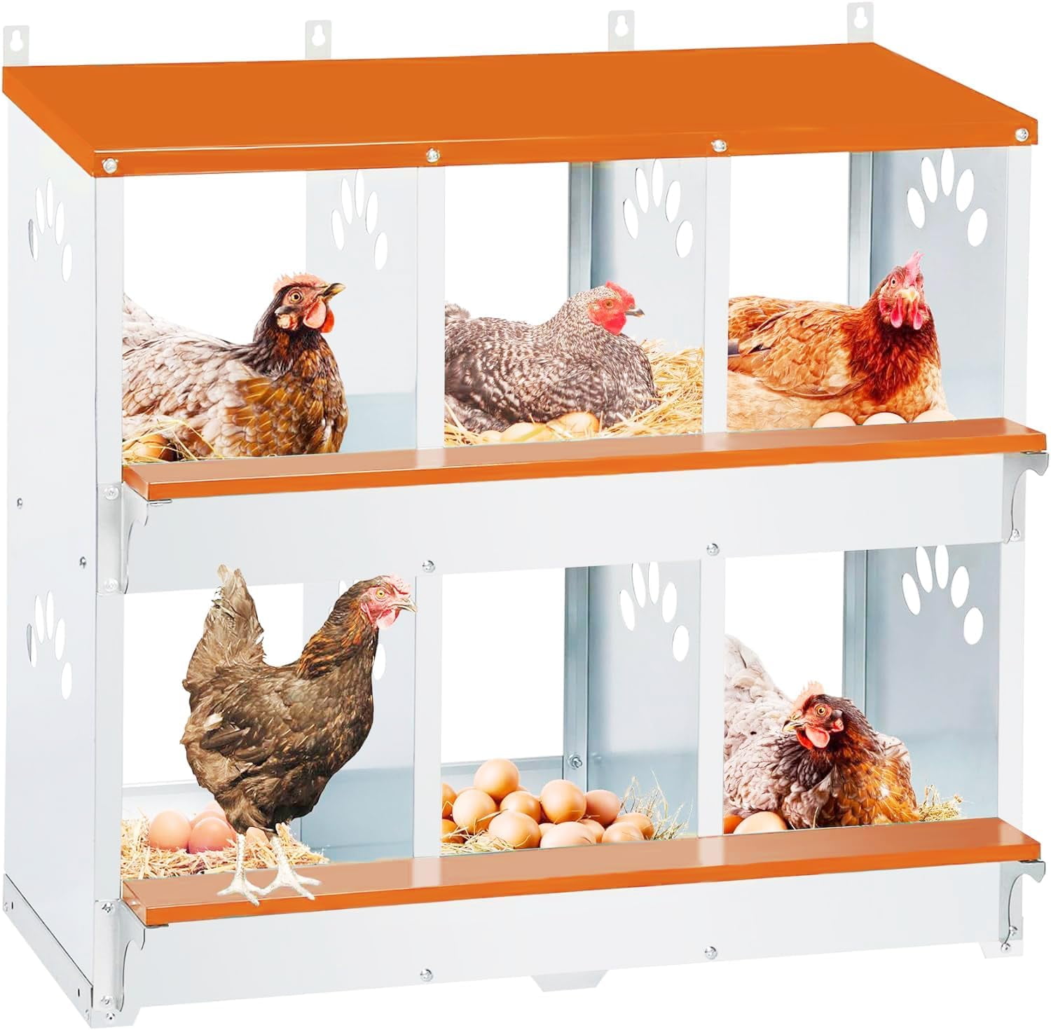 6 Compartment Chicken Nesting Box, Metal Nesting Boxes for Chicken, Indoor & Outdoor Use, Wall ...