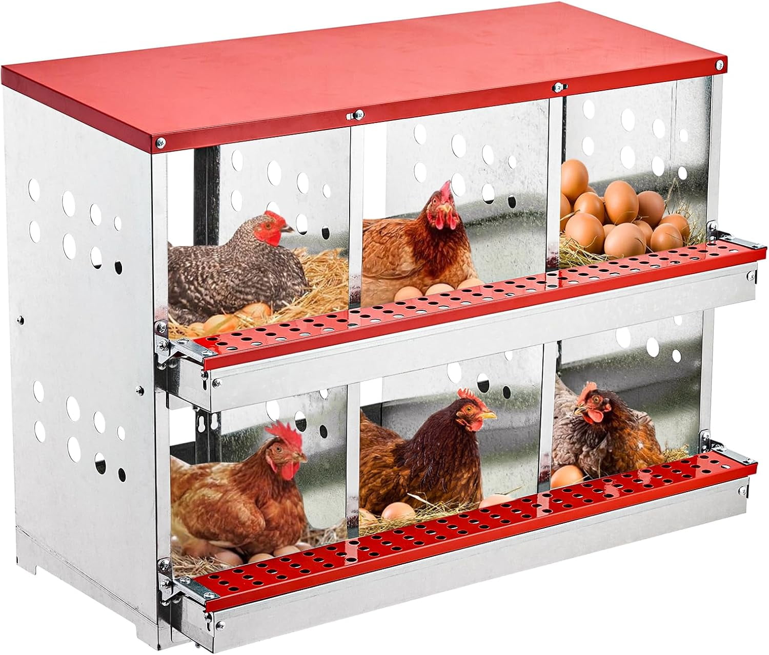 6-Compartment Metal Chicken Nesting Box with Roll-Away Egg Collection ...
