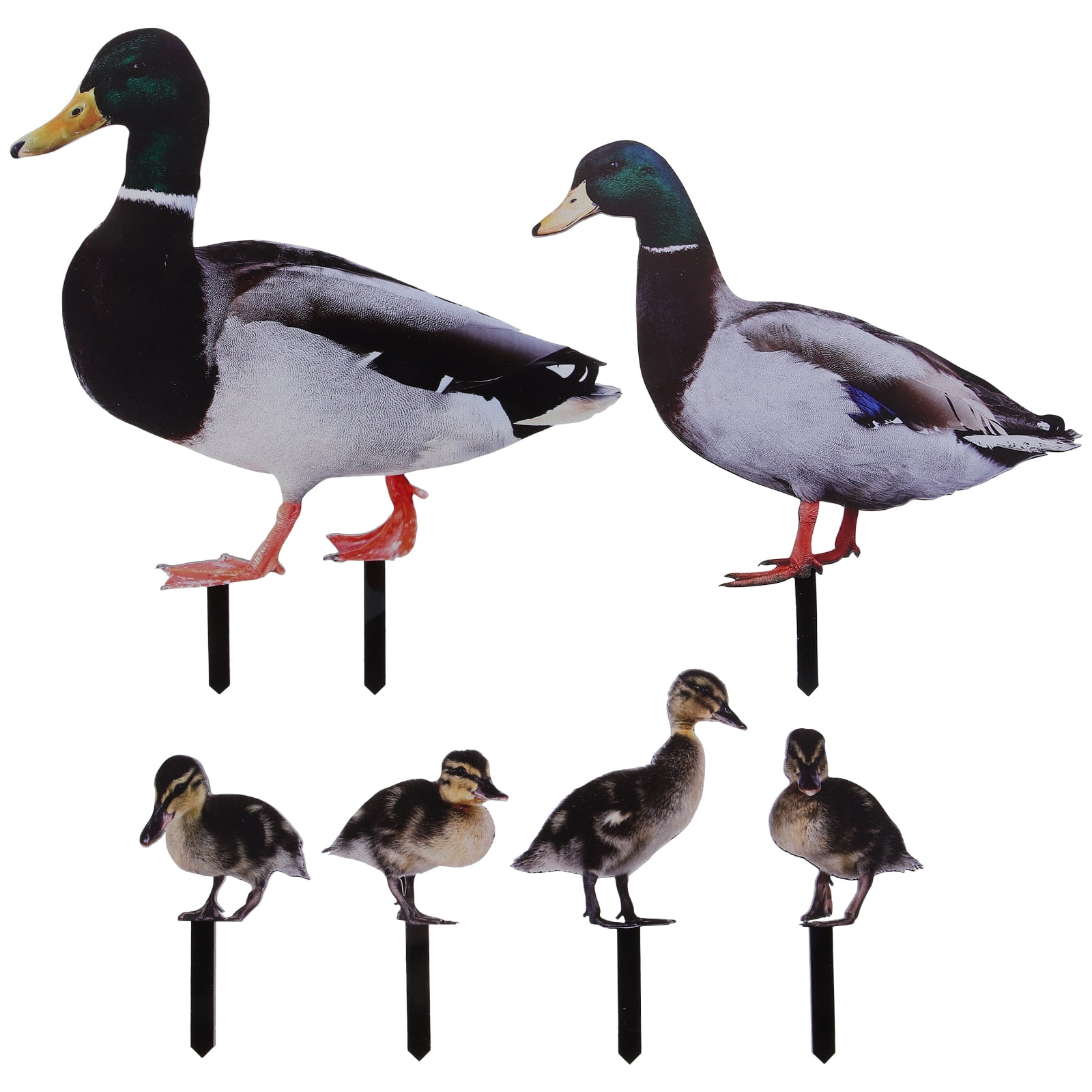 Acrylic Duck Stake Decor for Garden Yard Realistic Adornment Assorted ...