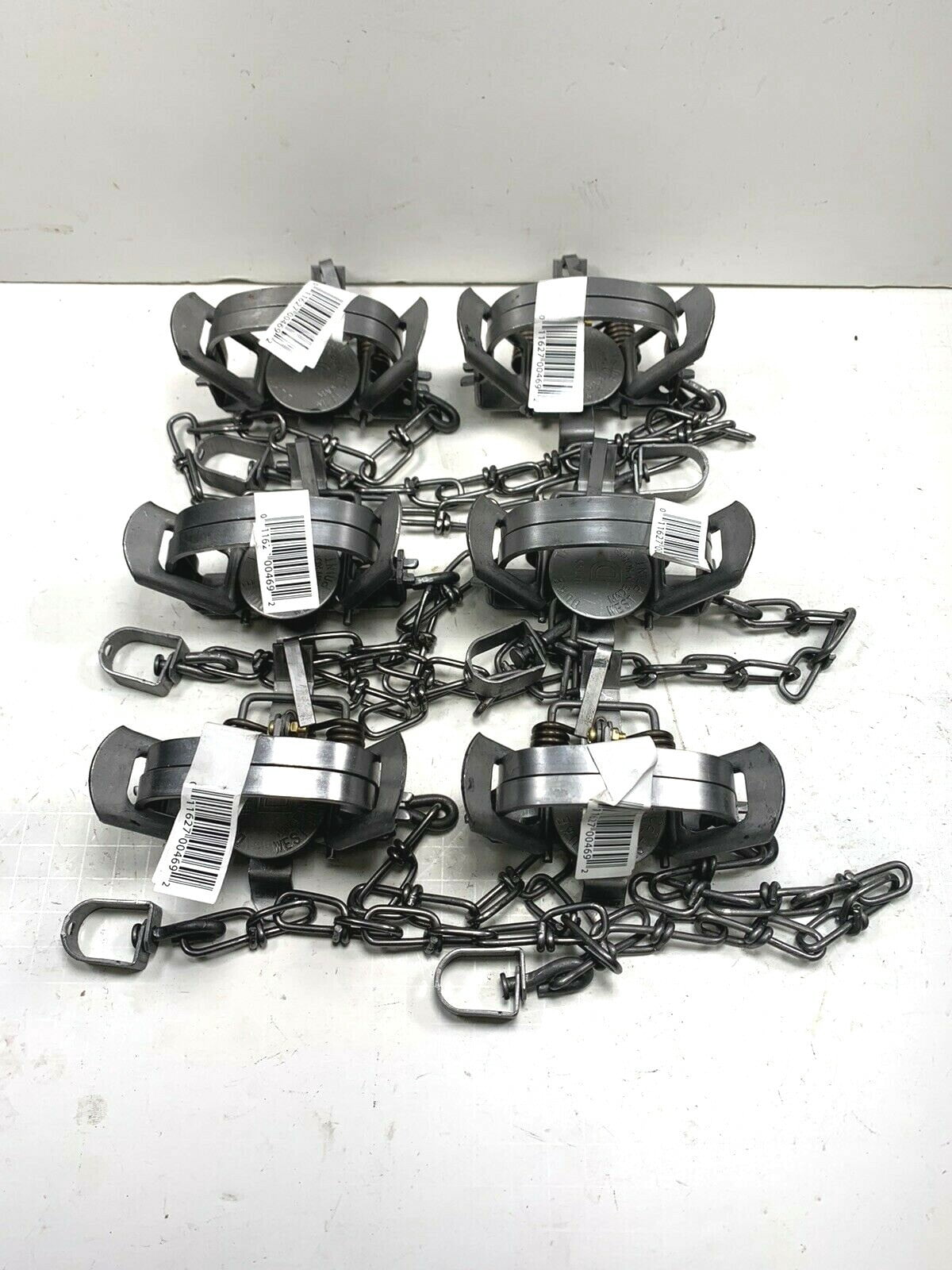 6 Duke #1 Coil Spring Traps (Trapping Supplies Raccoon Mink Muskrat ...