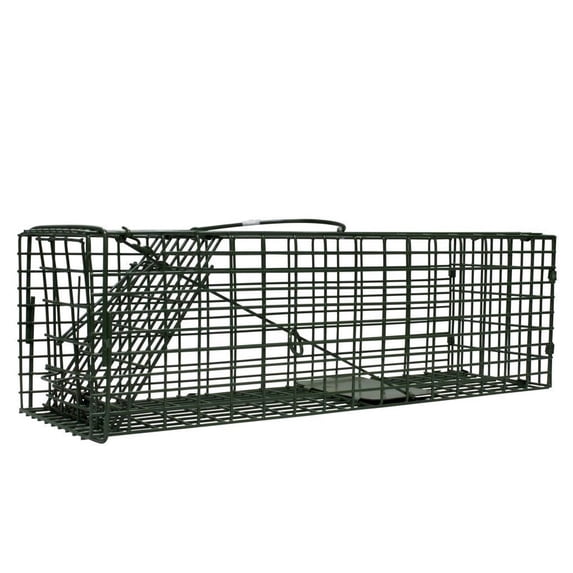 6 Duke Live Catch Cage Traps 5"x5"x16" #1100 Squirrel Rat Chipmunk ...