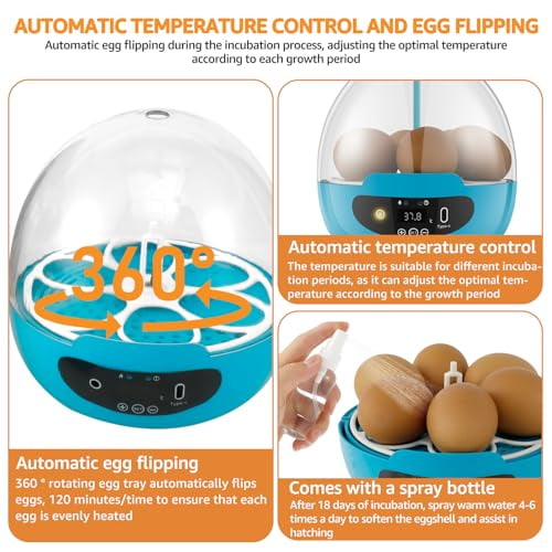 6 Egg Incubator, Incubator Hatching Eggs for Hatching Chicks, 360 ...