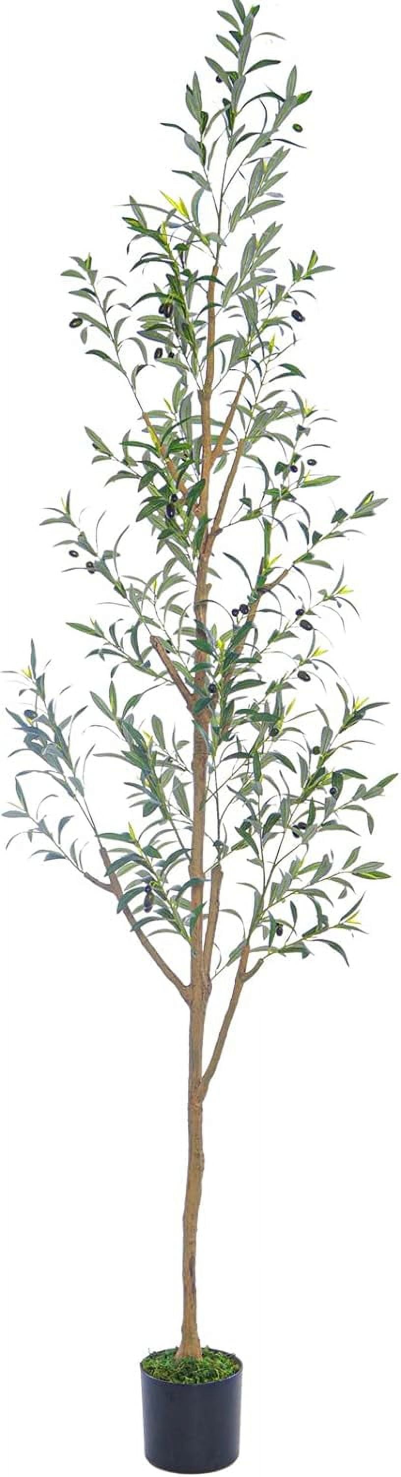 6 Feet (72'') Olive Tree Fluffy Artificial Plants for Home Indoor, Fake ...