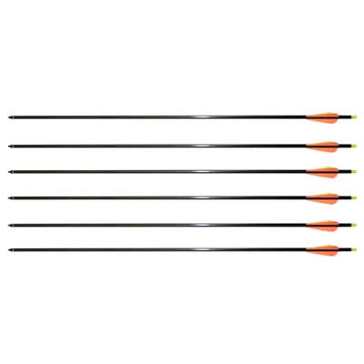 6 Fiberglass 28 Inches Arrows 28" for Compound Archery Bow Screw in ...