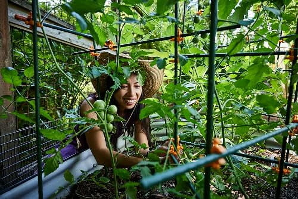 6-Foot Monster Plant Support Kit | Build Cages, Trellises, and Fences ...