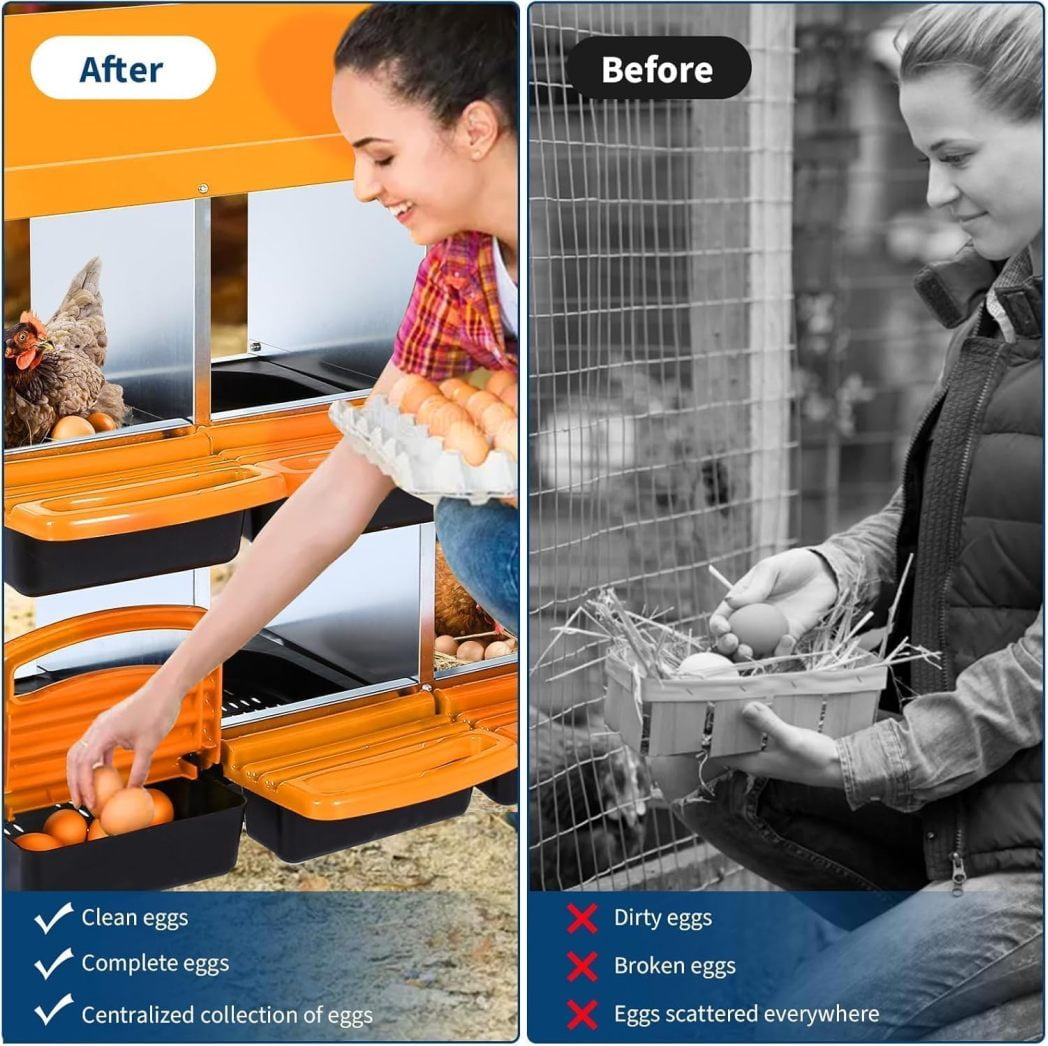6-Hole Chicken Nesting Boxes,Corrosion-Resistant Metal Nesting Boxes ...