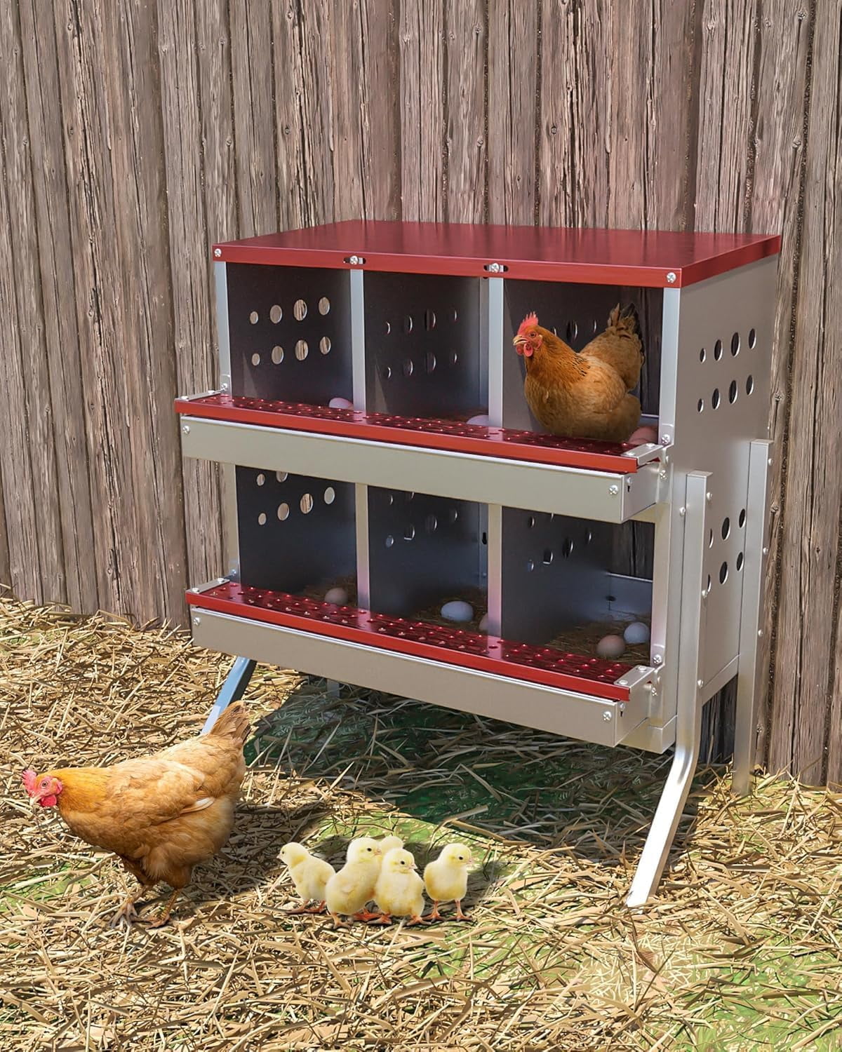 6-Hole Nesting Boxes for Chickens,Metal Waterproof & Rustproof Laying ...