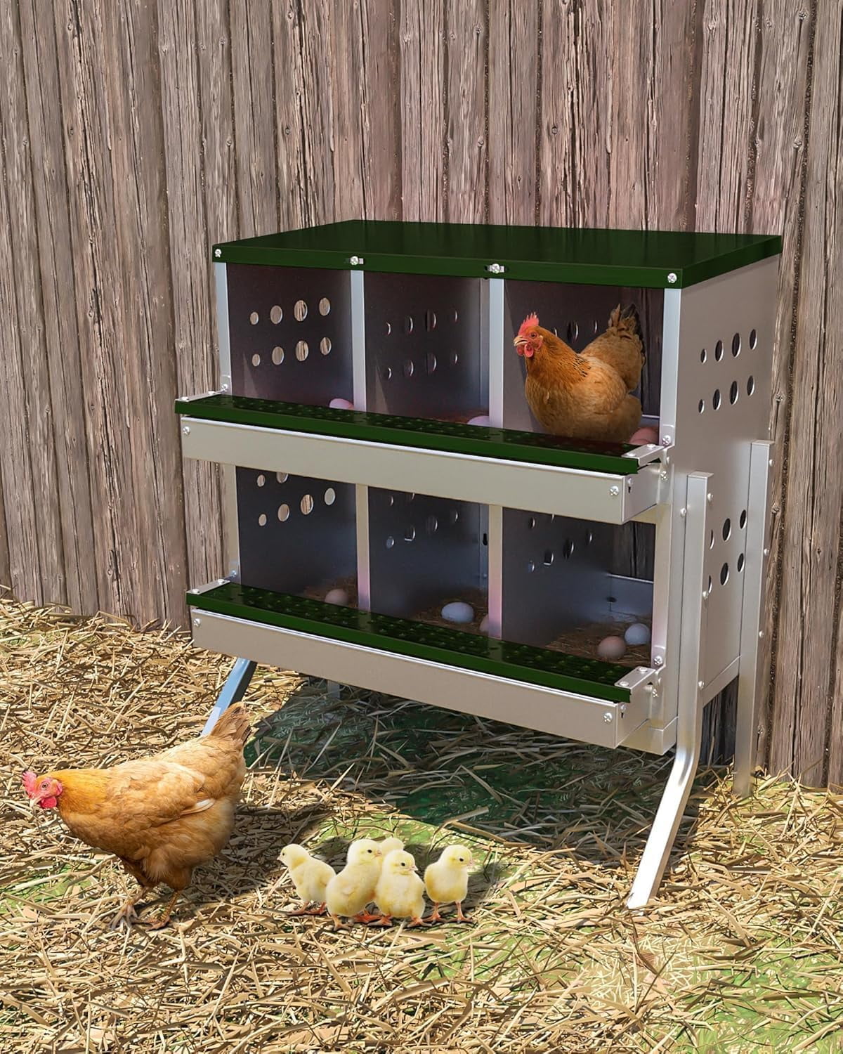 6-Hole Nesting Boxes for Chickens,Metal Waterproof & Rustproof Laying ...