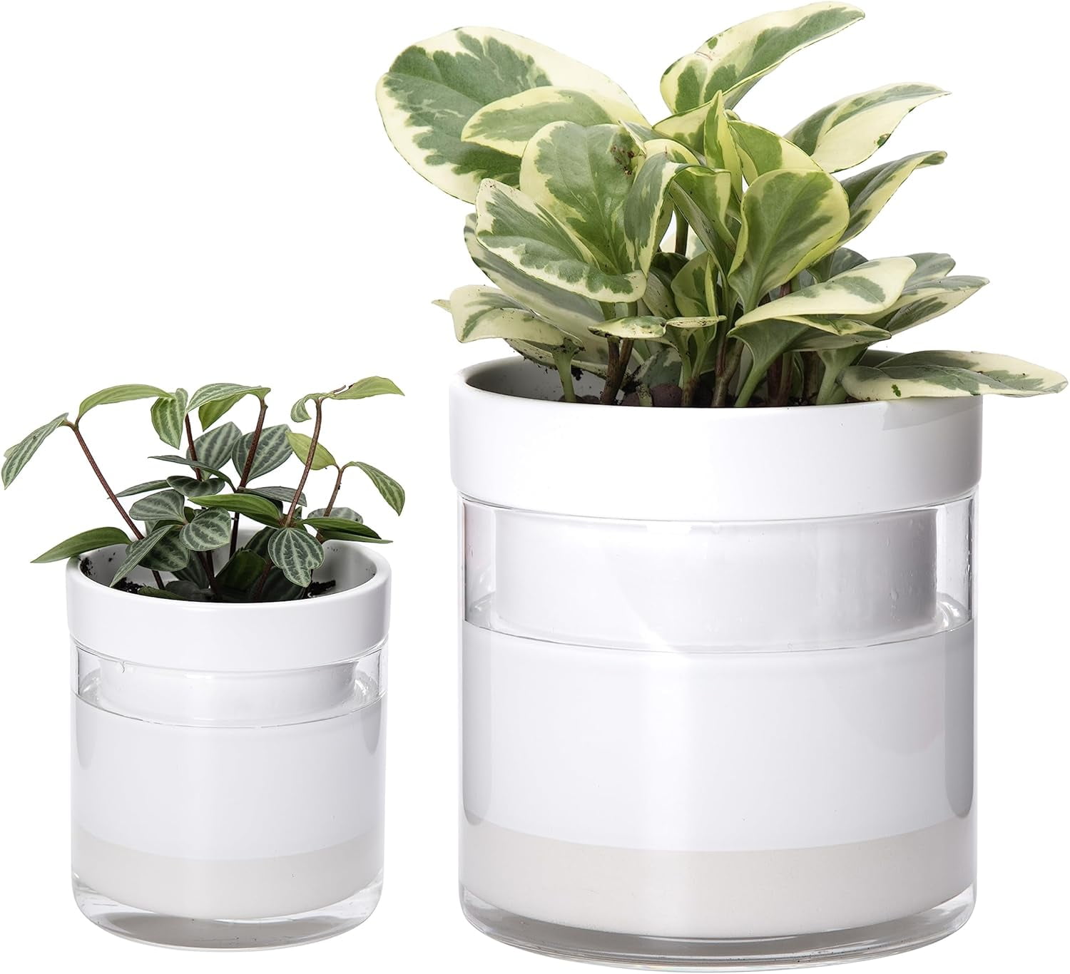 6 Inch 4 Inch Self Watering Planter, White Terracotta Clay Pots with ...