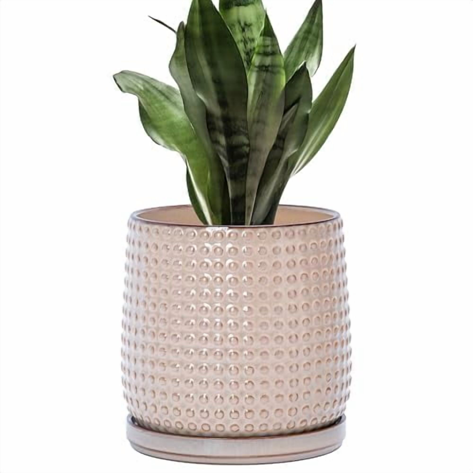 6 Inch Ceramic Beaded Stoneware Planter Pot - Flower Pot with Drainage ...