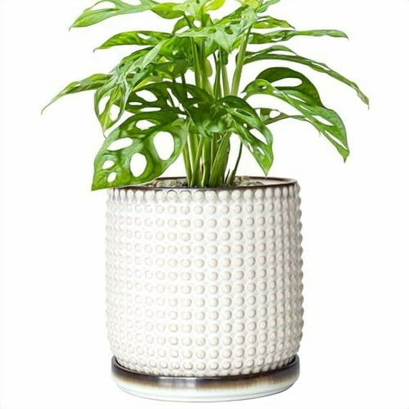 6 Inch Ceramic Beaded Stoneware Planter Pot - Flower Pot with Drainage ...