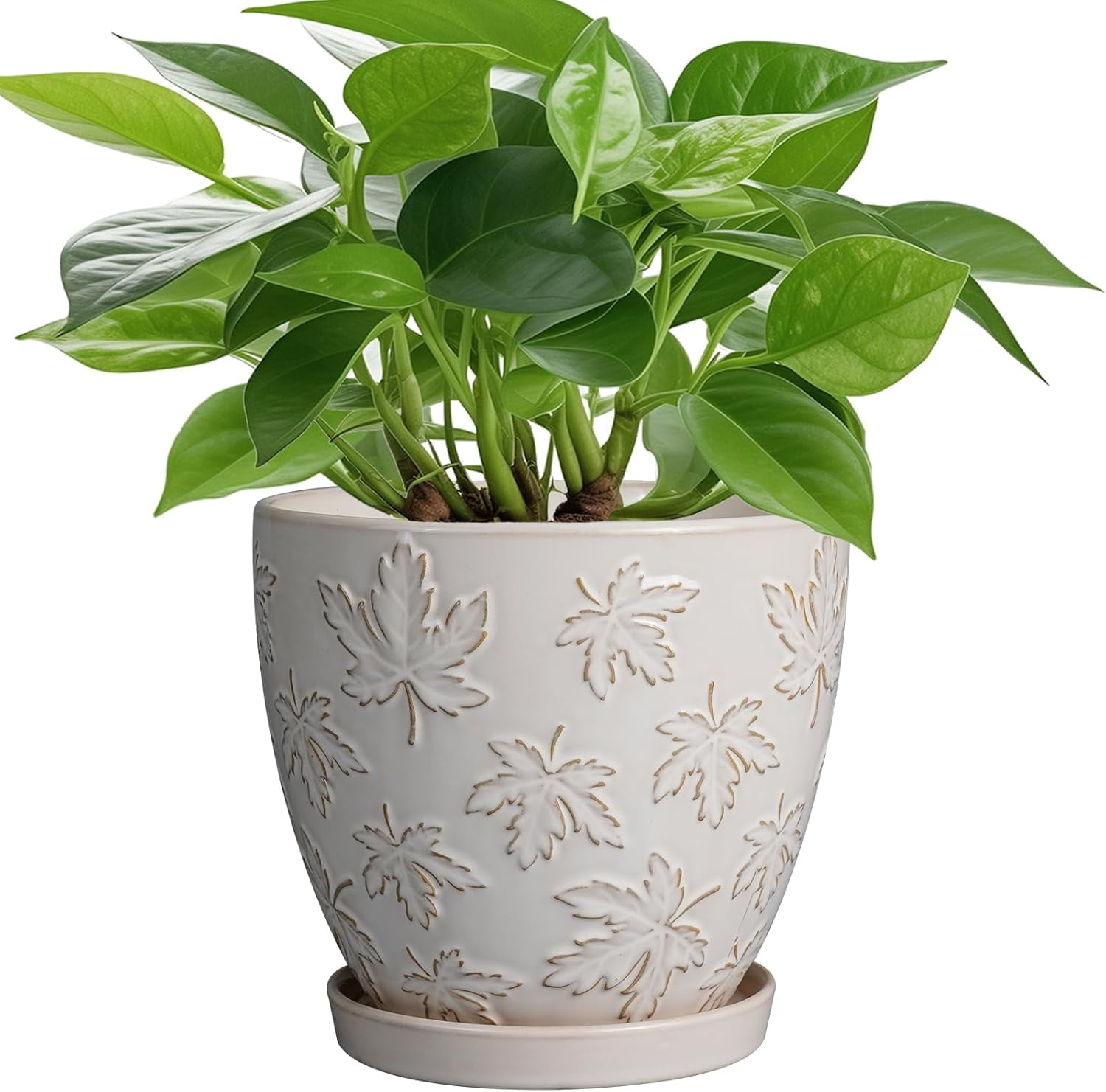 6 Inch Ceramic Plant Pot – Round Flower Planter with Drainage Hole ...