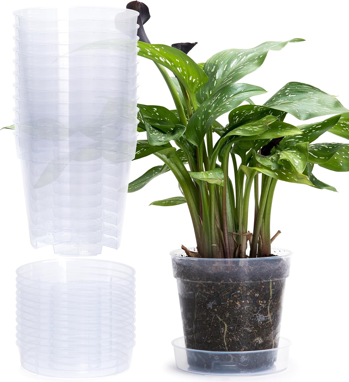 6 Inch Clear Plastic Plant Pot with Drainage Holes, Interlocking ...