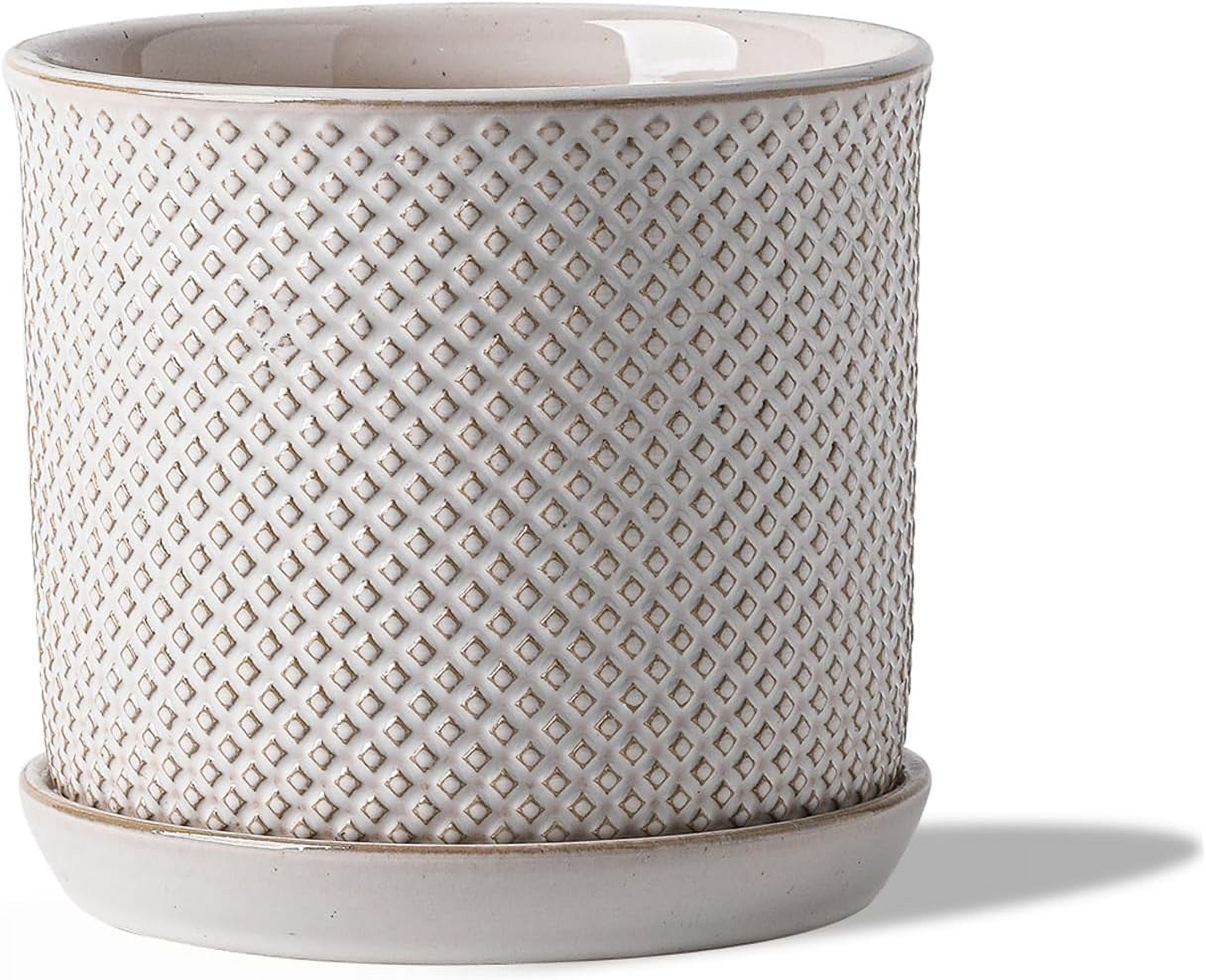 6 Inch Plant Pot: Ceramic Planter with Drainage Hole & Saucer for ...
