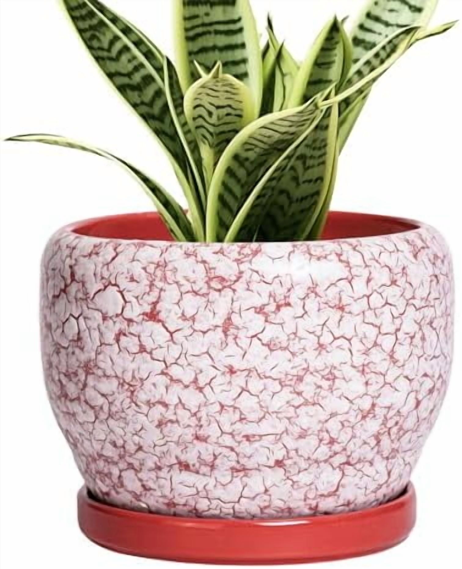 6 Inch Plant Pot - Ceramic Planter for Indoor Outdoor, Round Decorative ...