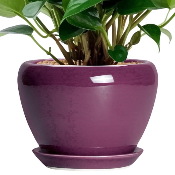 6 Inch Purple Ceramic Planter with Drainage Hole – Round Flower Pot for ...