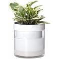 6 Inch Self Watering Planter, White Terracotta Clay Pot with Glass ...