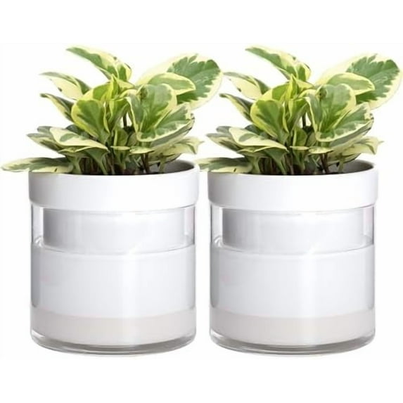 6 Inch Self Watering Planter, White Terracotta Clay Pot with Glass ...