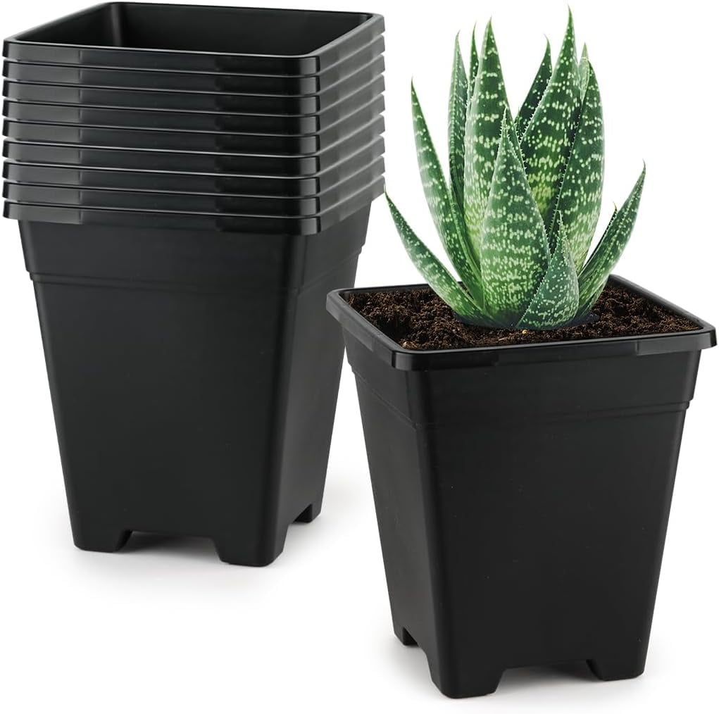 6 Inch Square Plant Pots, 10 Pack Plastic Planter with Drainage Hole, 0 ...