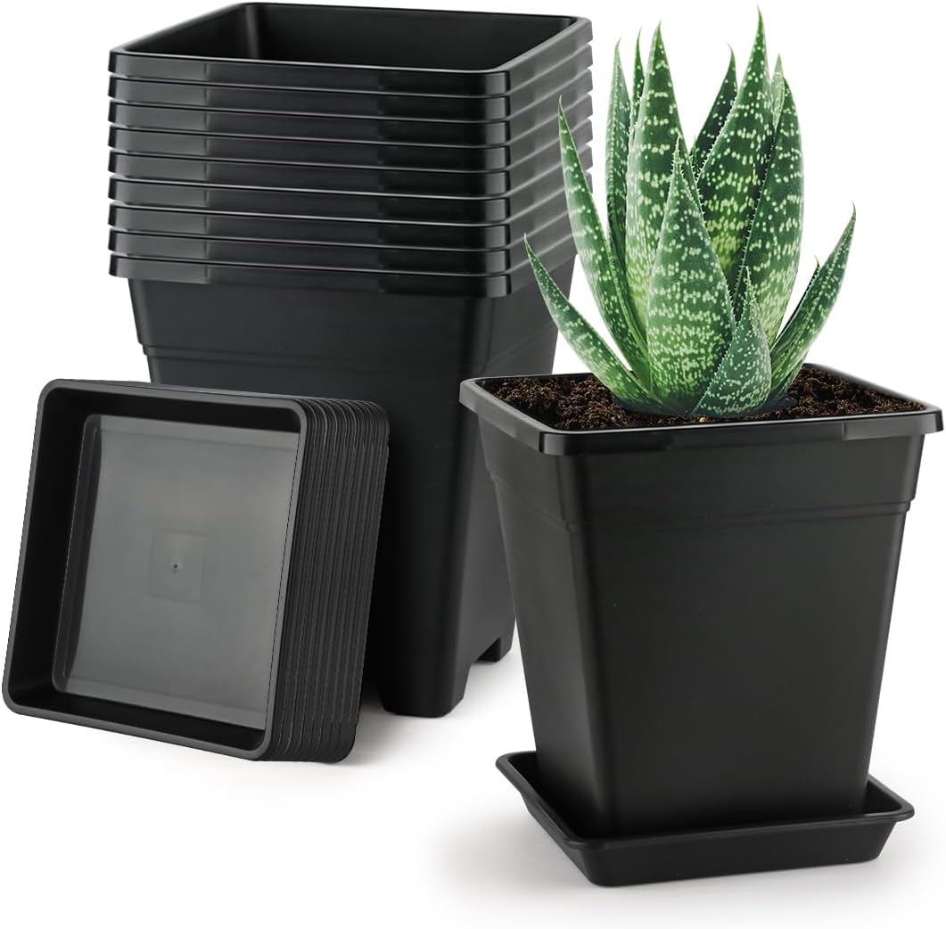 6 Inch Square Plant Pots, 10 Pack Plastic Planter with Drainage Hole ...
