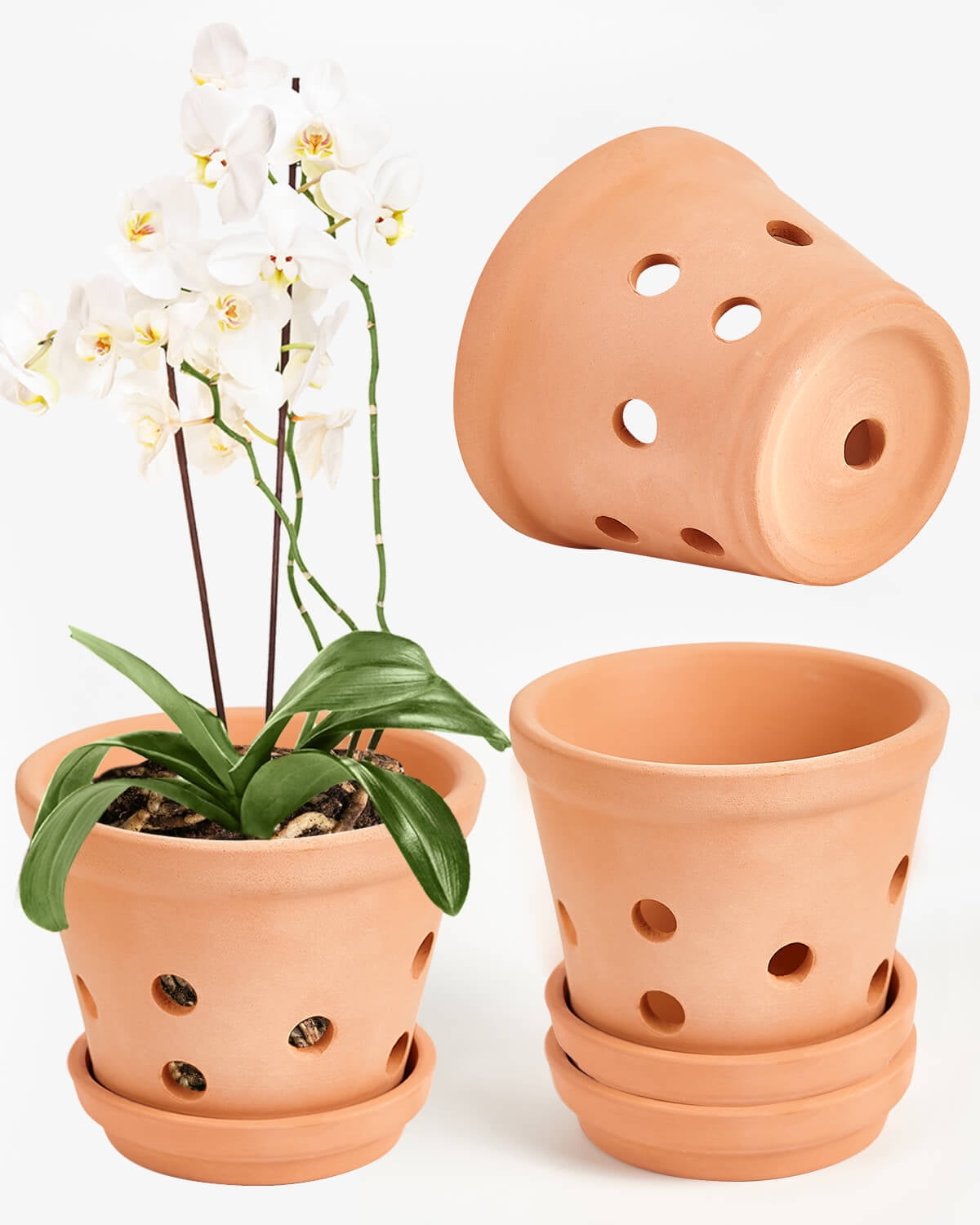 6 Inch Terracotta Orchid Pots with Holes and Saucers - 3 Pcs Small Clay ...