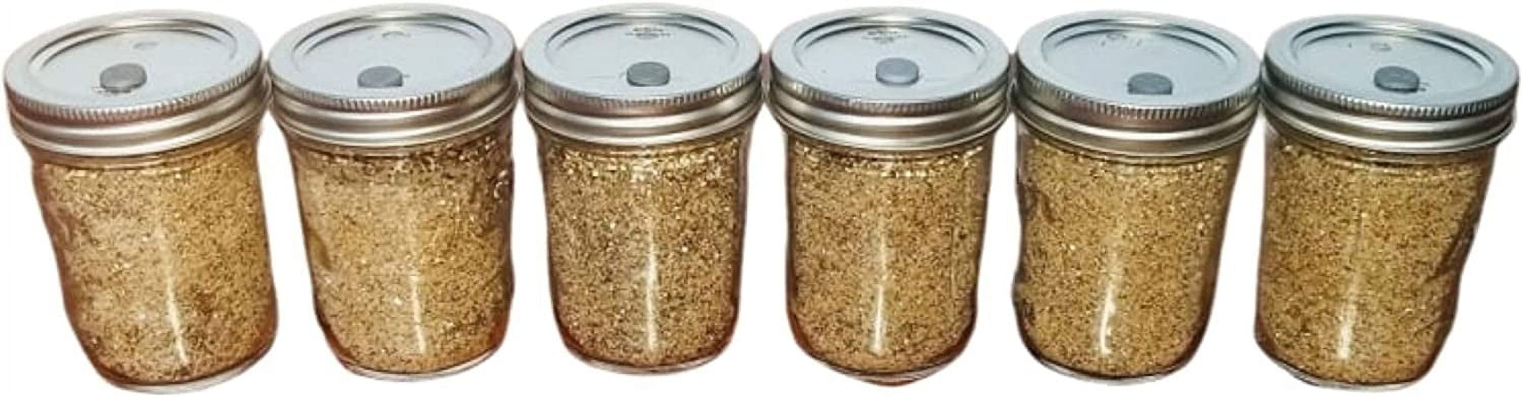 6 Jars PF Tek Brown Rice Flour Mushroom Substrate - Half Pint Jars with ...