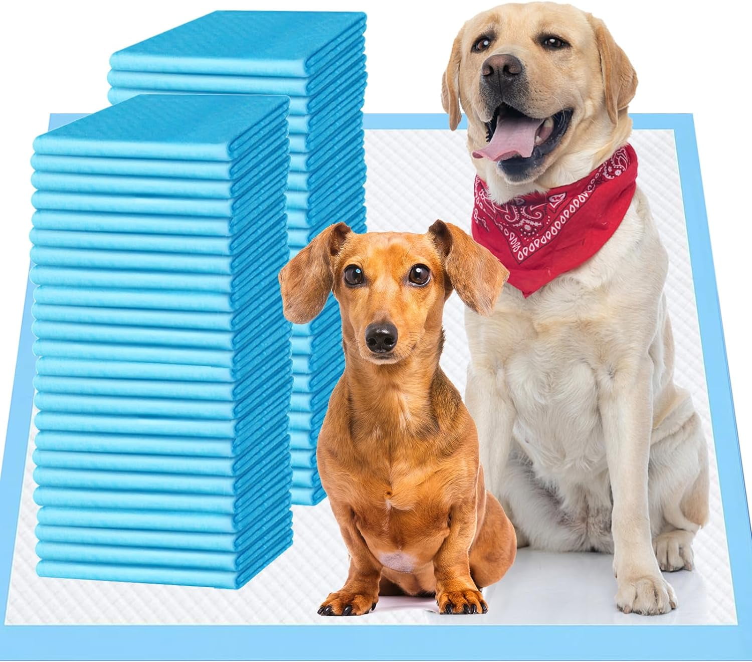 6 Layers Leak-Proof Super Absorbent Puppy Pads Pee Pads for Dogs, XXL ... 6 Layers Leak-Proof Super Absorbent Puppy Pads Pee Pads for Dogs, XXL ...