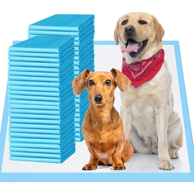 6 Layers Leak-Proof Super Absorbent Puppy Pads Pee Pads for Dogs, XXL ...