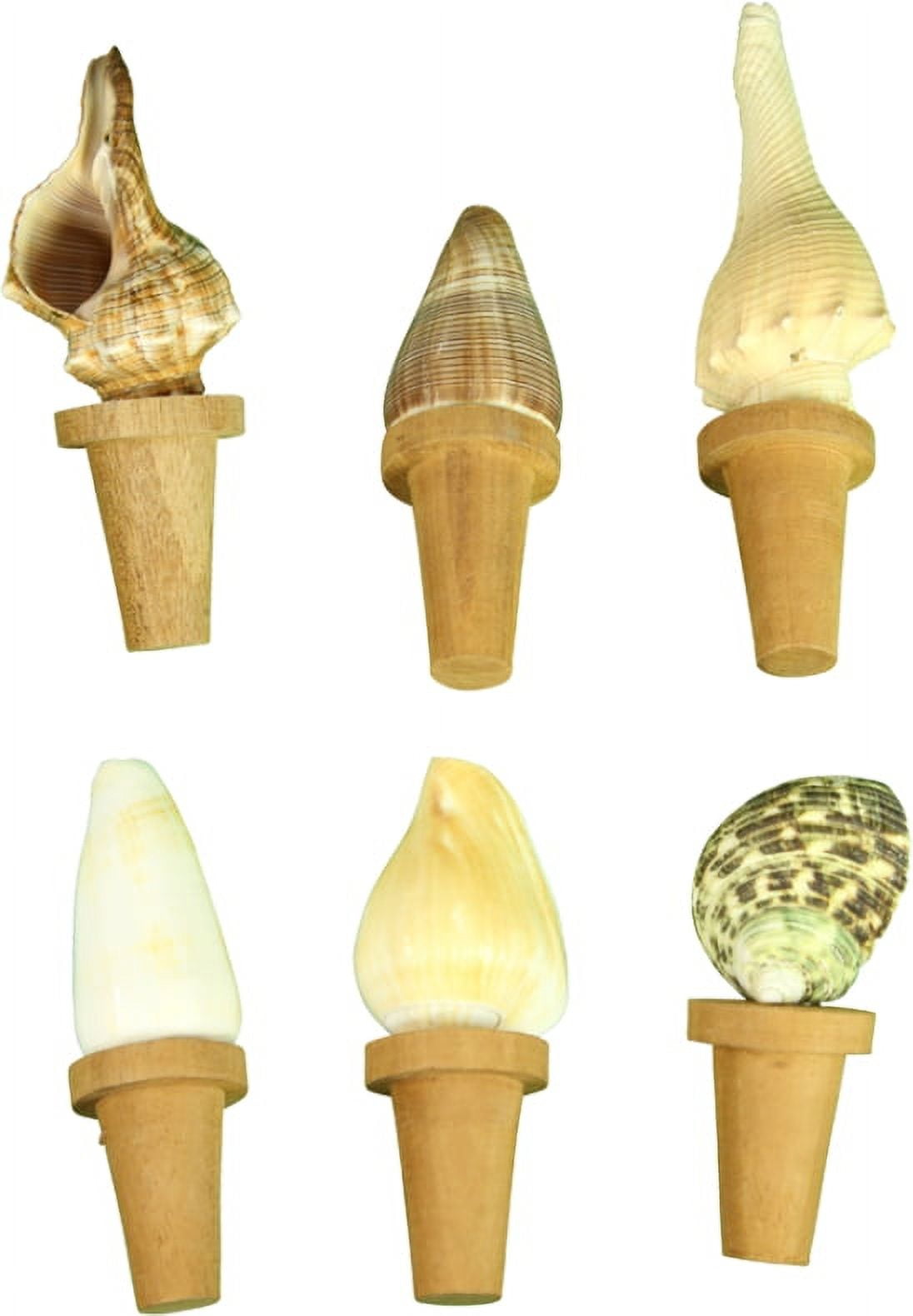 6 Loose Seashells Wine Corks Party Tiki Beach Decor (Set of 6 ...