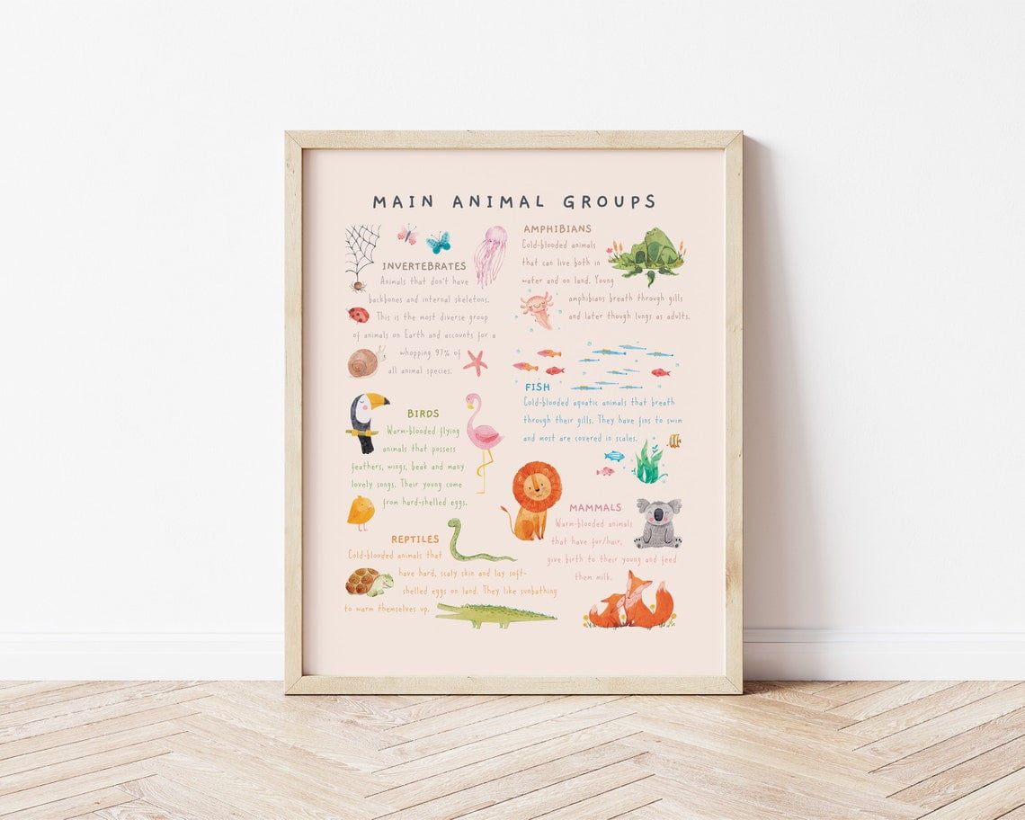 6 Main Animal Groups Educational Poster, Watercolor Nature Theme Animal ...