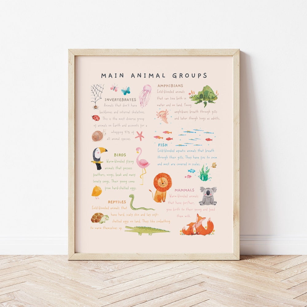 6 Main Animal Groups Educational Poster Watercolor Nature Theme Animal ...