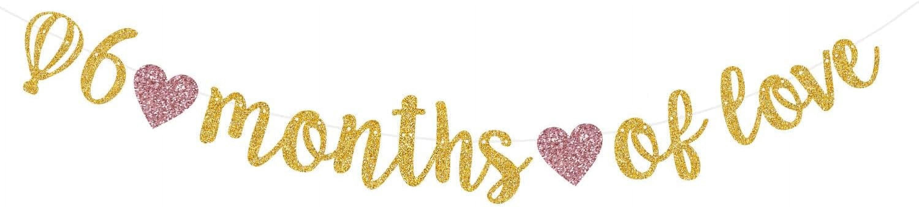 6 Months of Love Banner Gold Glitter,Happy 6 Month, 1/2 Birthday Baby ...