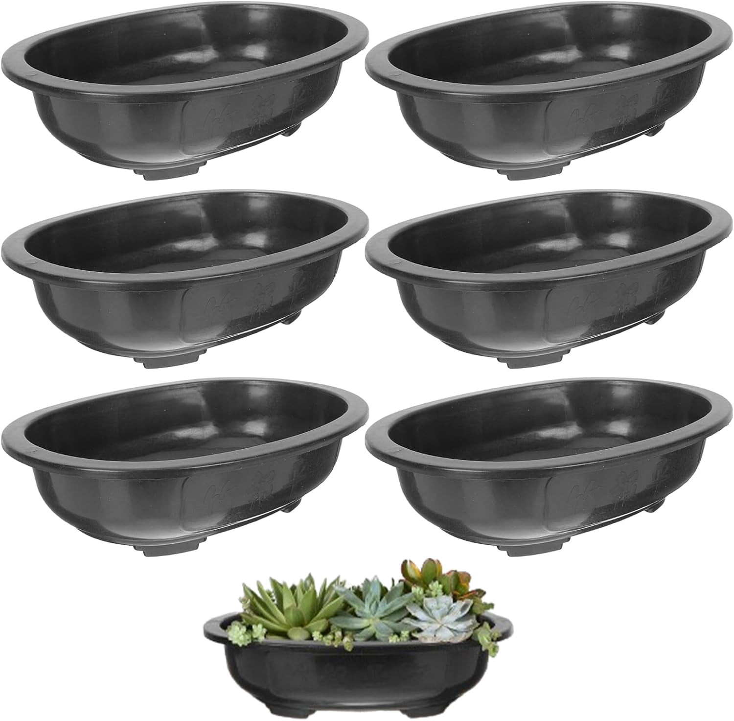 6 PCS 12'' Bonsai Training Pots, Oval Bonsai Planter Pot with Drainage ...