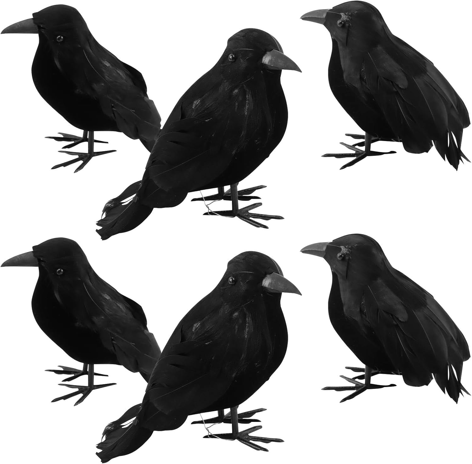 6 PCS Halloween Black Crows,Realistic Feathered Ravens Prop for Indoor ...