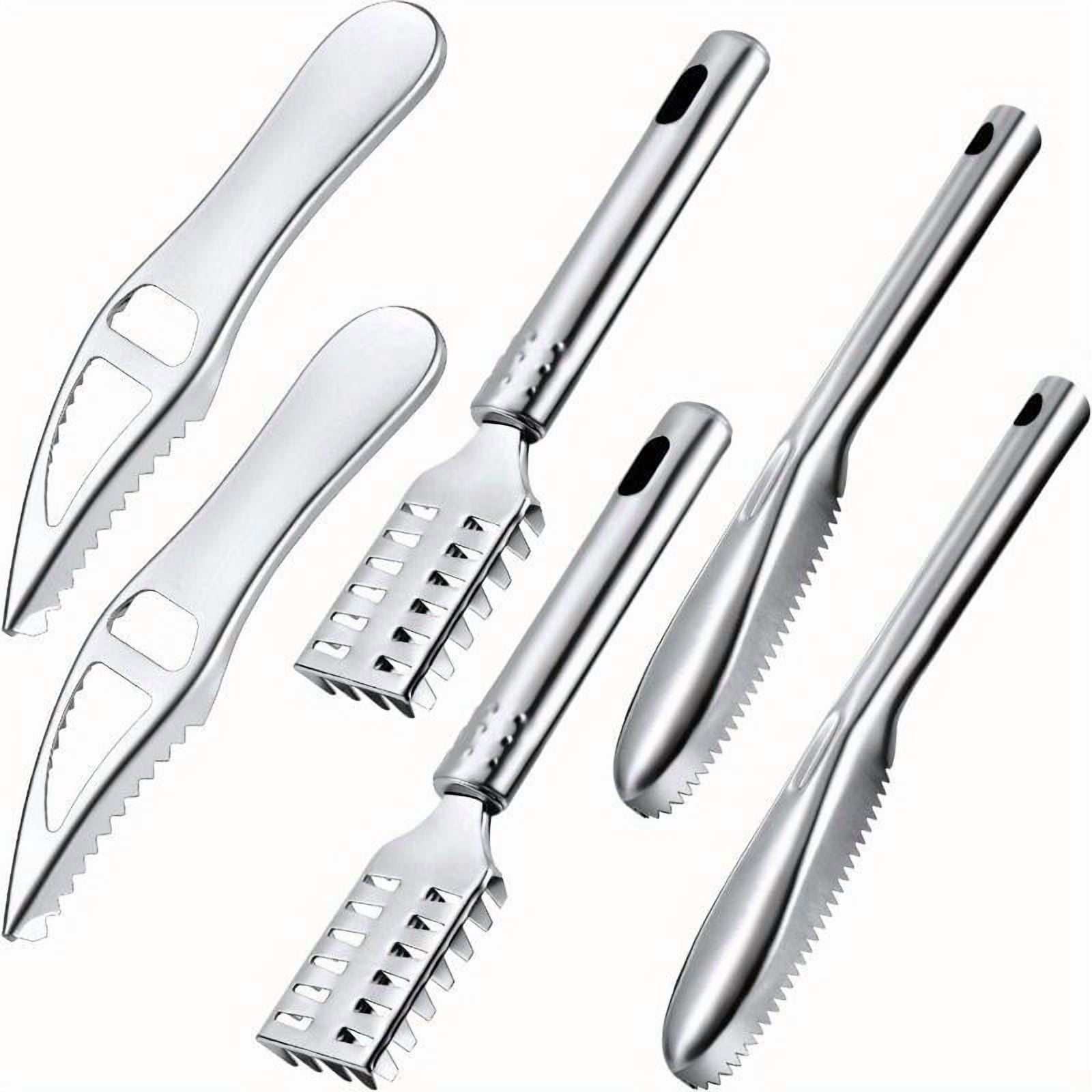 6 PCS Stainless Steel Scales Removal Fish Scale Removal Brush Is Easy ...