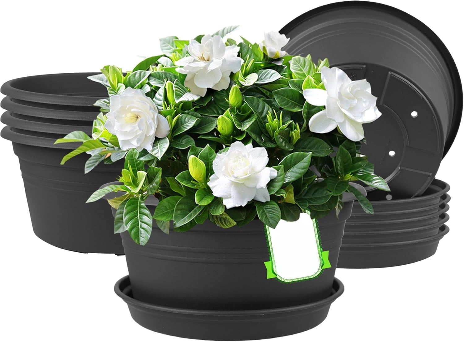 6 Pack 10 inch Plant Pot, Outdoor Pots for Plants with Drainage Hole ...
