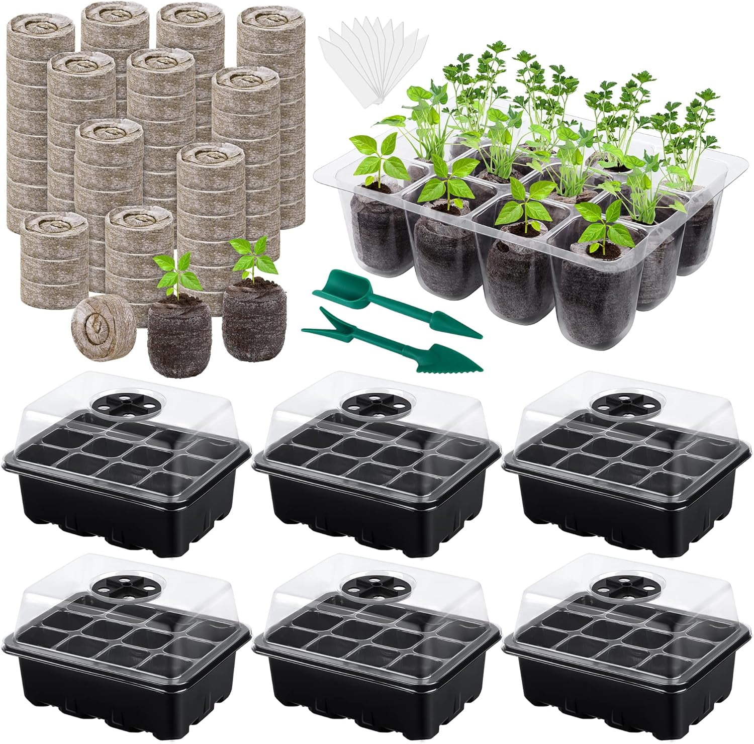 6 Pack 12-Cells Seed Starter Tray Kit with Humidity Dome and Base ...