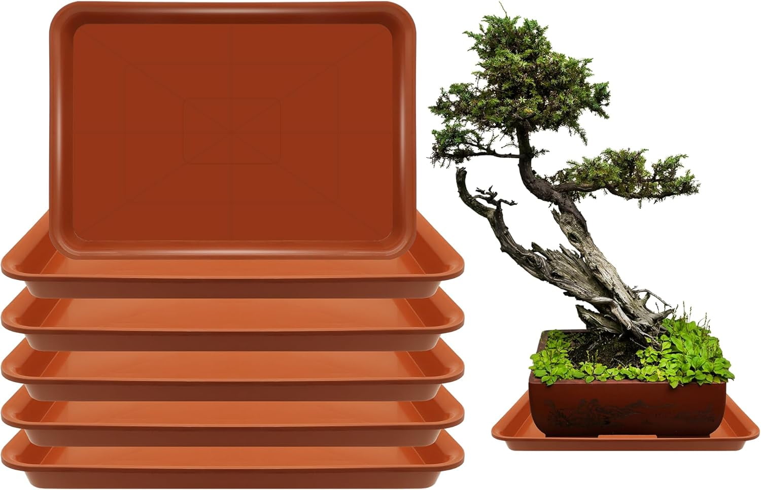 6 Pack 12 Inch Rectangle Plant Saucers for Less 7.8 Inch Pot Indoors ...
