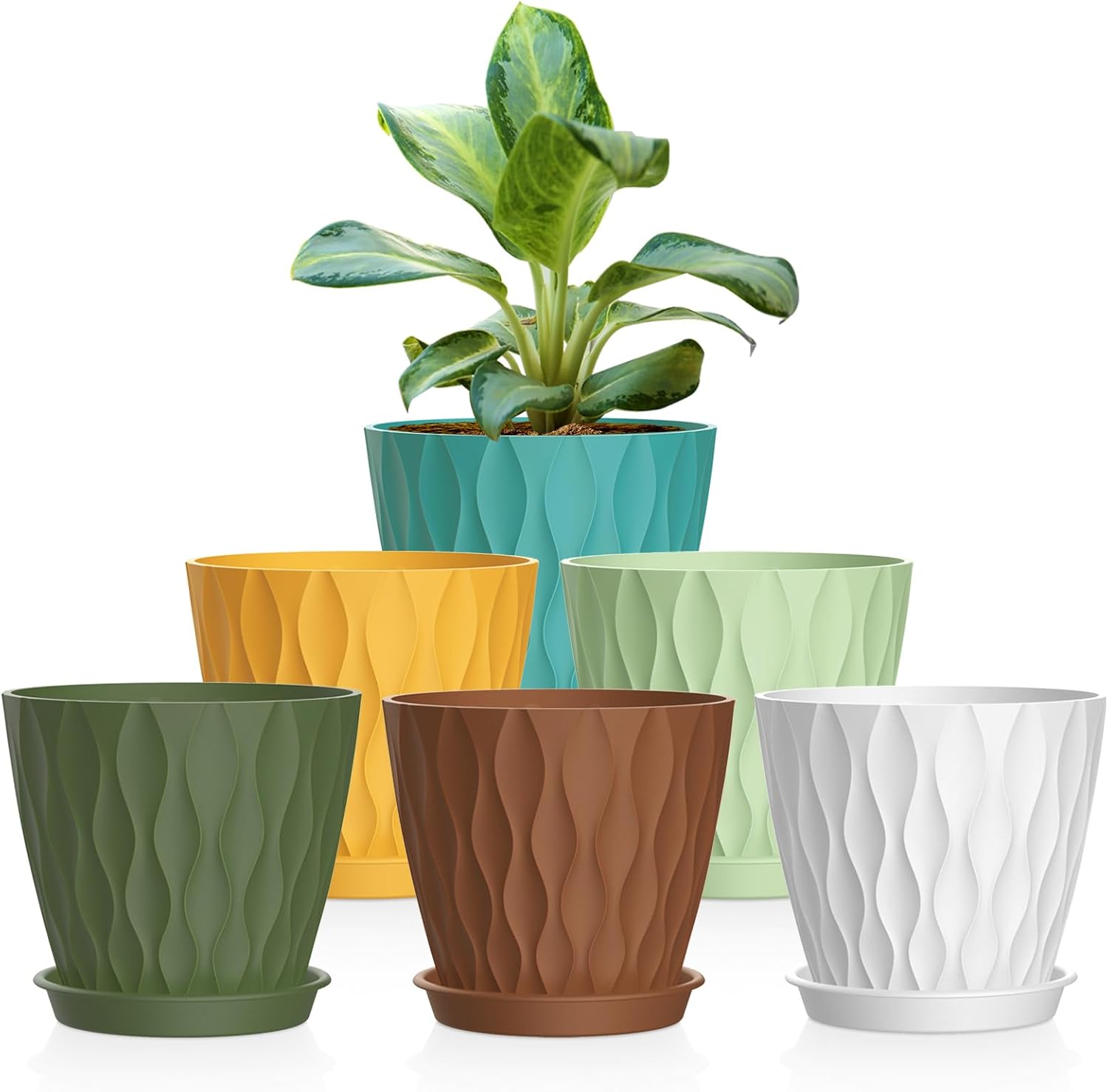 6 Pack 4 Inch Small Plant Pots with Saucers, 3D Textured Plastic ...