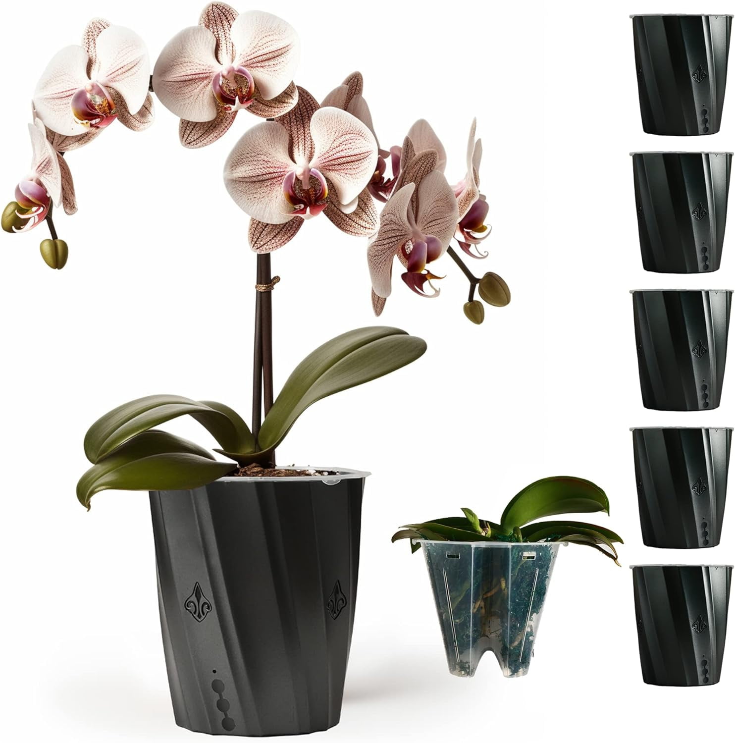 6 Pack 5-Inch Orchid Pot and Self-Watering Pots for Indoor Plants ...