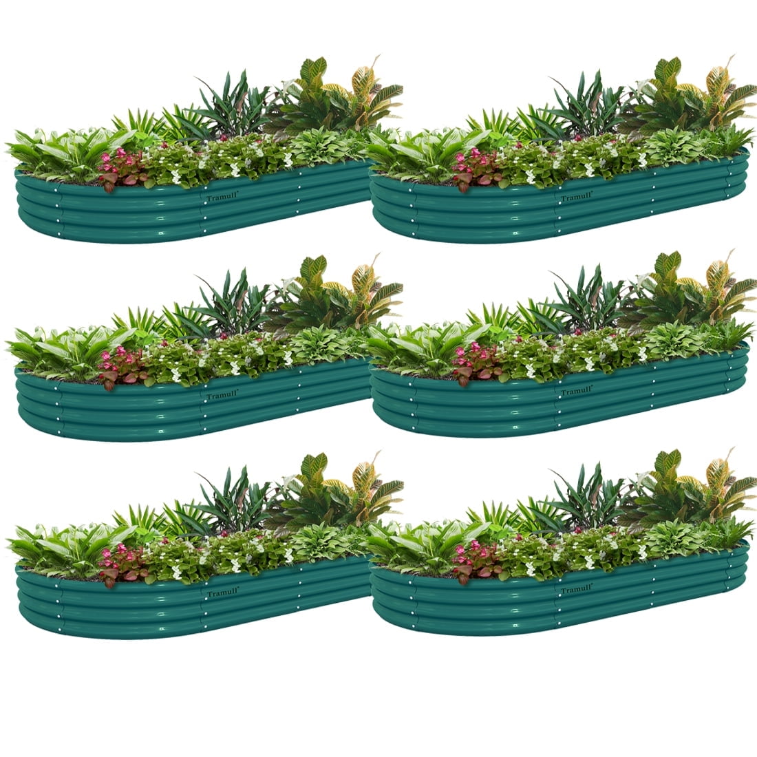 6 Pack 6x3x1FT Galvanized Raised Garden Bed Kit Oval Metal Ground ...