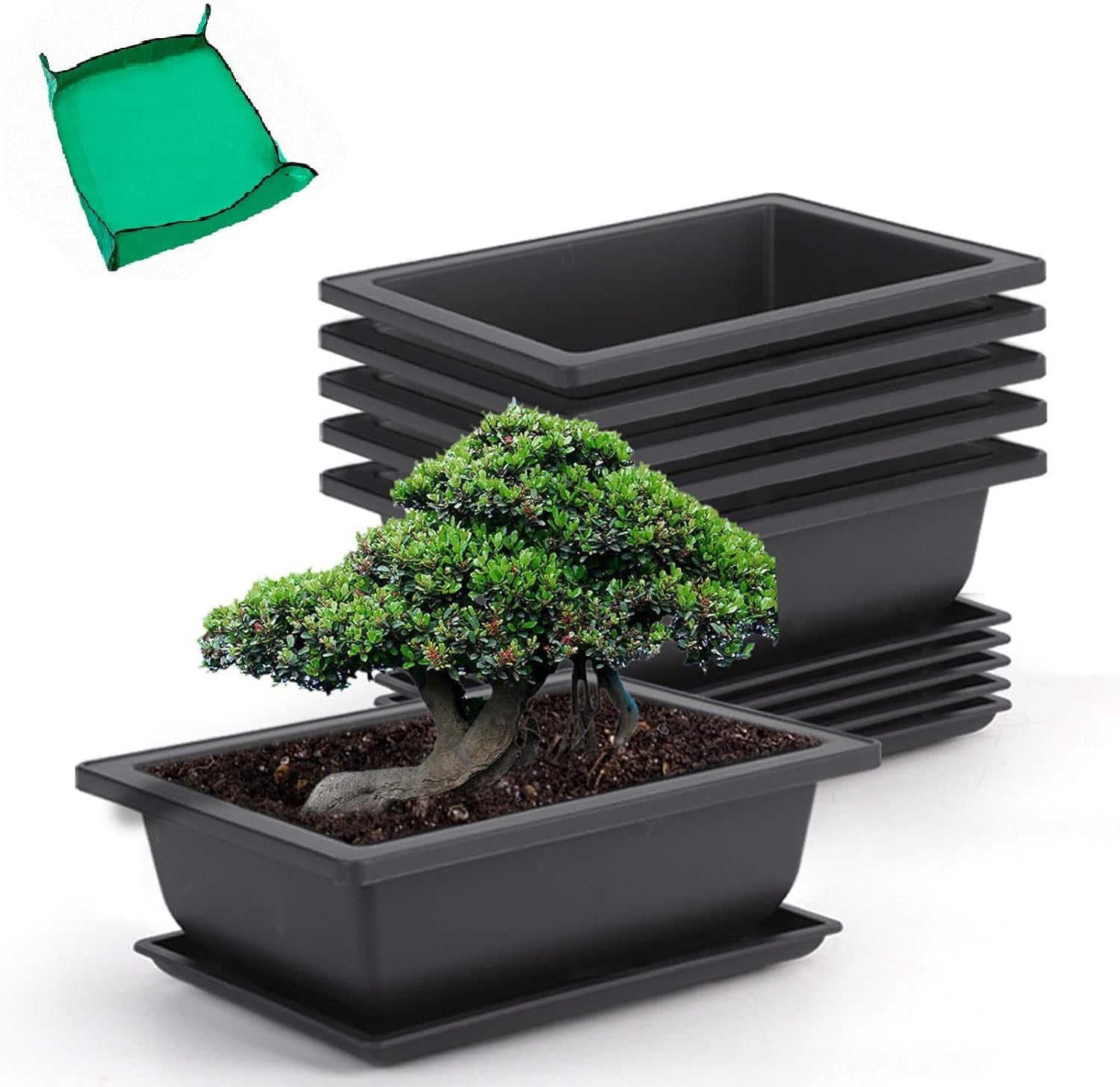 6 Pack 9 Inch Bonsai Pots with Drainage Humidity Trays, Bonsai Tree ...