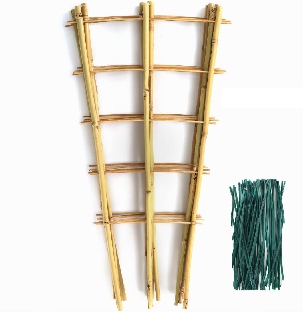 6 Pack Bamboo Trellis 24 Inches for Climbing Plants, Fan-Shaped Bamboo ...
