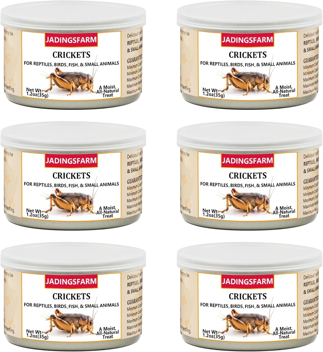 6 Pack Canned Crickets for Reptiles, Fish, Birds and Small Animals ...
