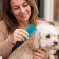 6-Pack Double-Sided Flea Comb, Fine Teeth Grooming Brush for Dogs and ...