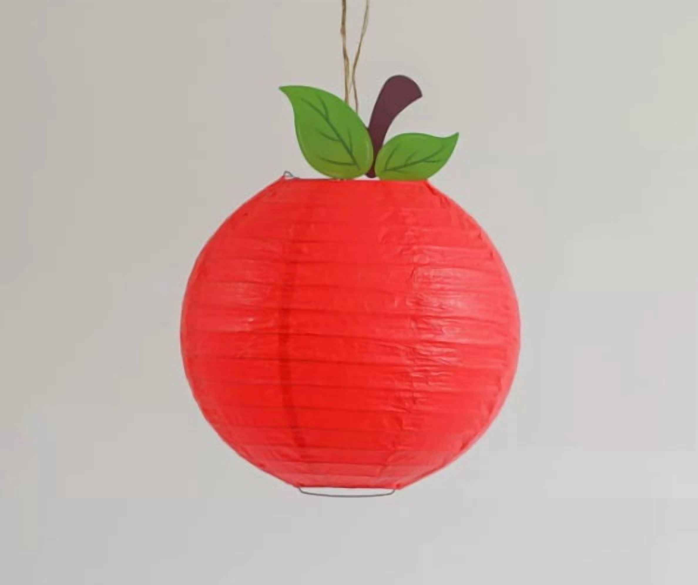6 Pack Eco-Friendly Paper Lanterns for Children's Birthday Parties ...