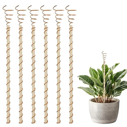 6 Pack Electroculture Plant Stakes, 12 Inches Electroculture Copper ...