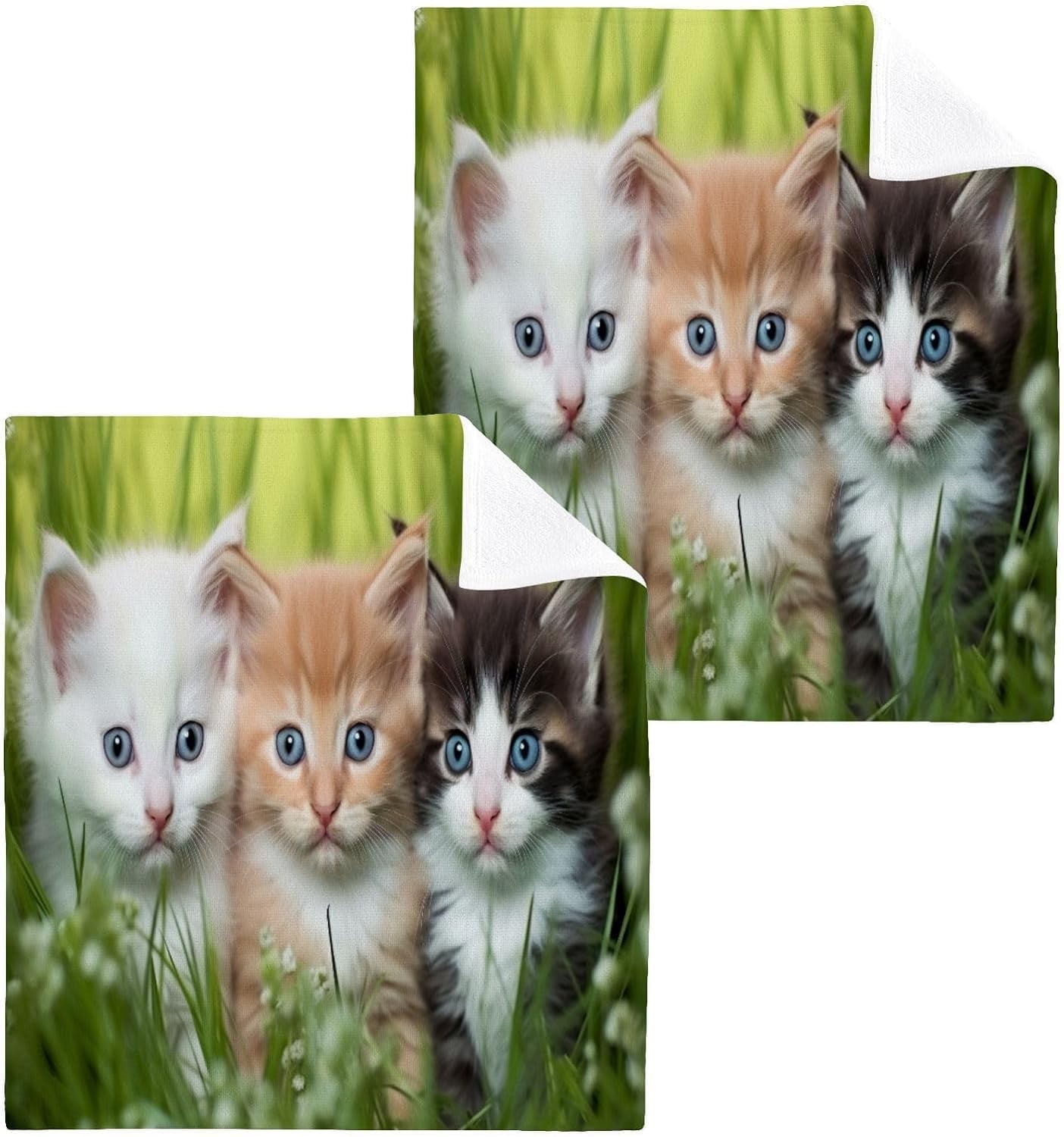 6 Pack Funny Cats Pure Cotton Washcloths 12 x 12 Inch Reusable ...