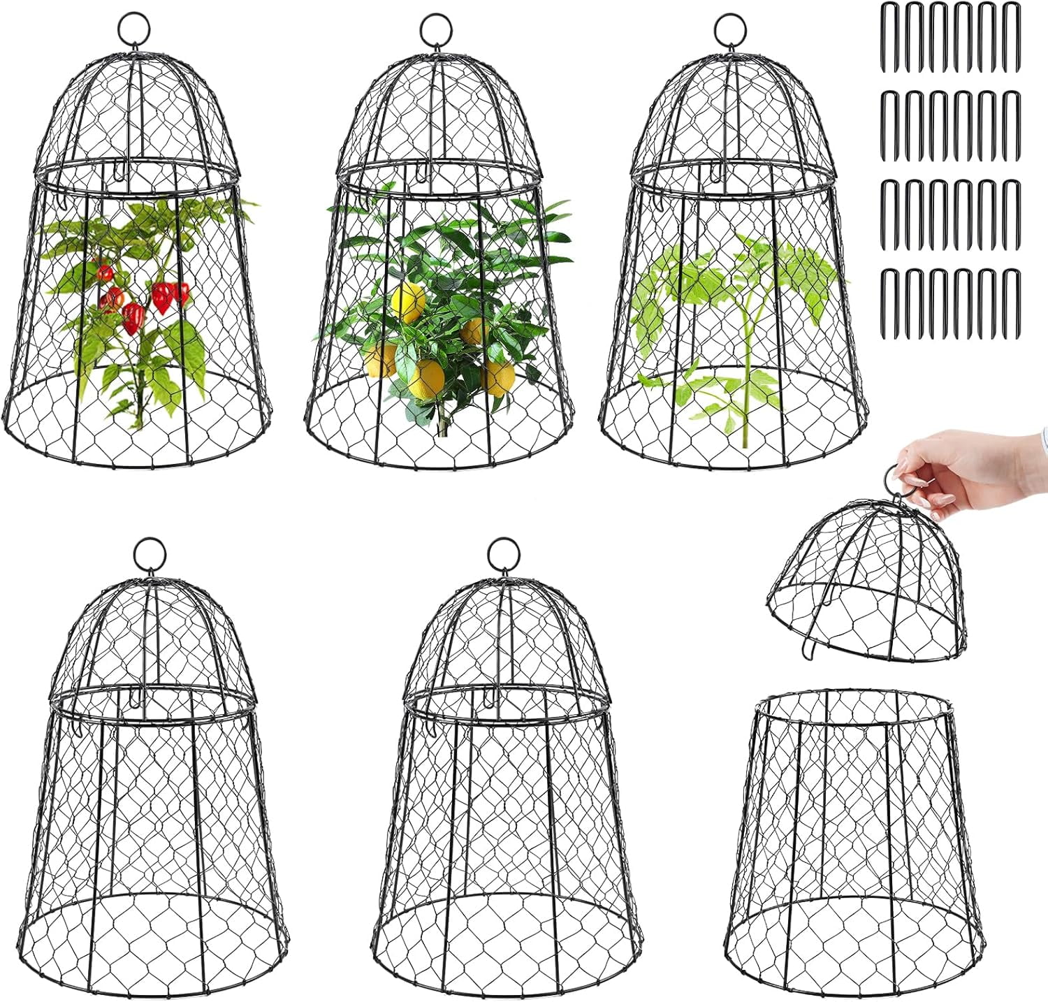 6 Pack Garden Cloches for Plants, Sturdy Plant Protectors from Animals ...