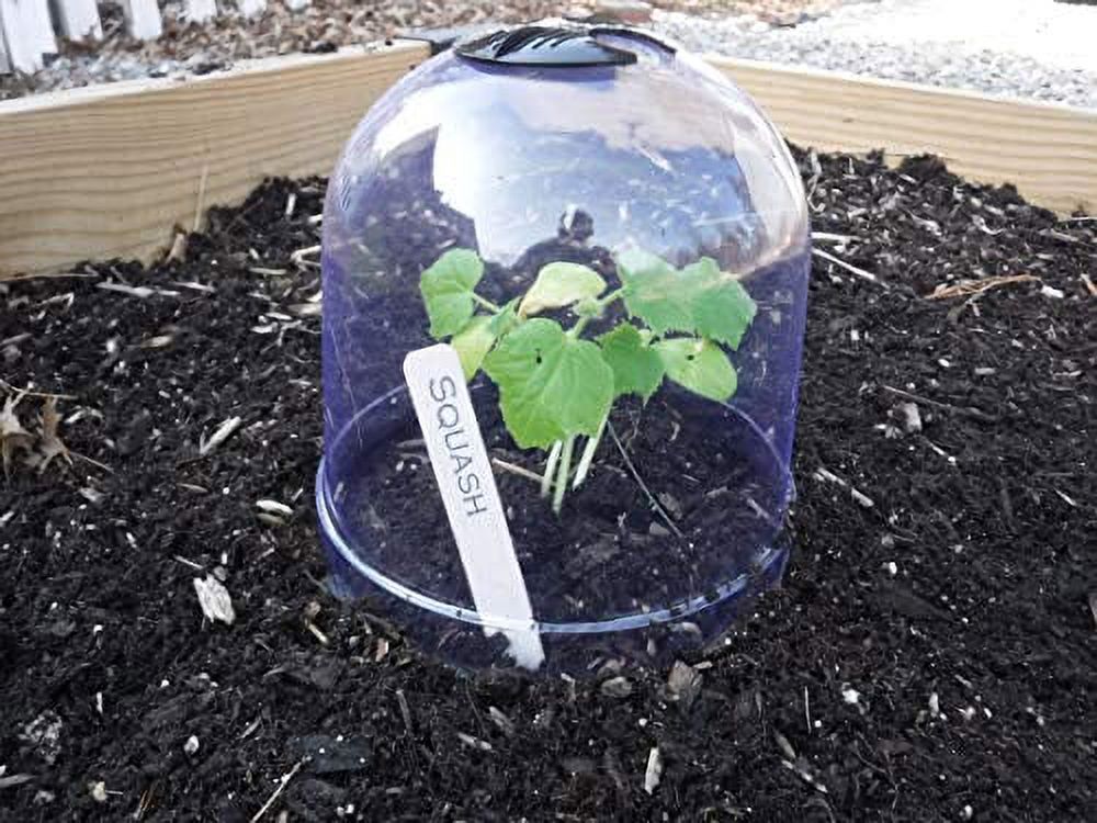 6-Pack! GrowAway™ Medium Reusable Plastic Mini Greenhouse, Garden ...